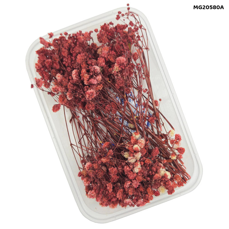 MG20580A_1200x1200.jpg?v=1751141648