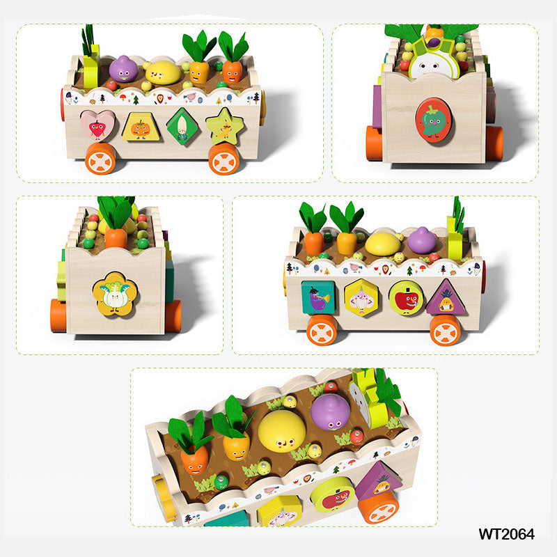 Wt Vegetables Sorting Toy (Wt2064) – GIFT TO LOVE